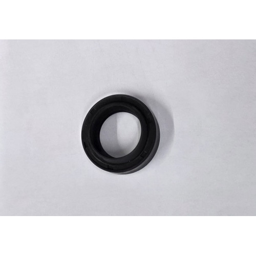 Gearbox rear output seal